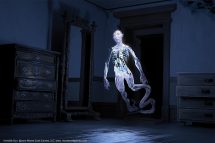 Vislae Kit - Monte Cook Games Store